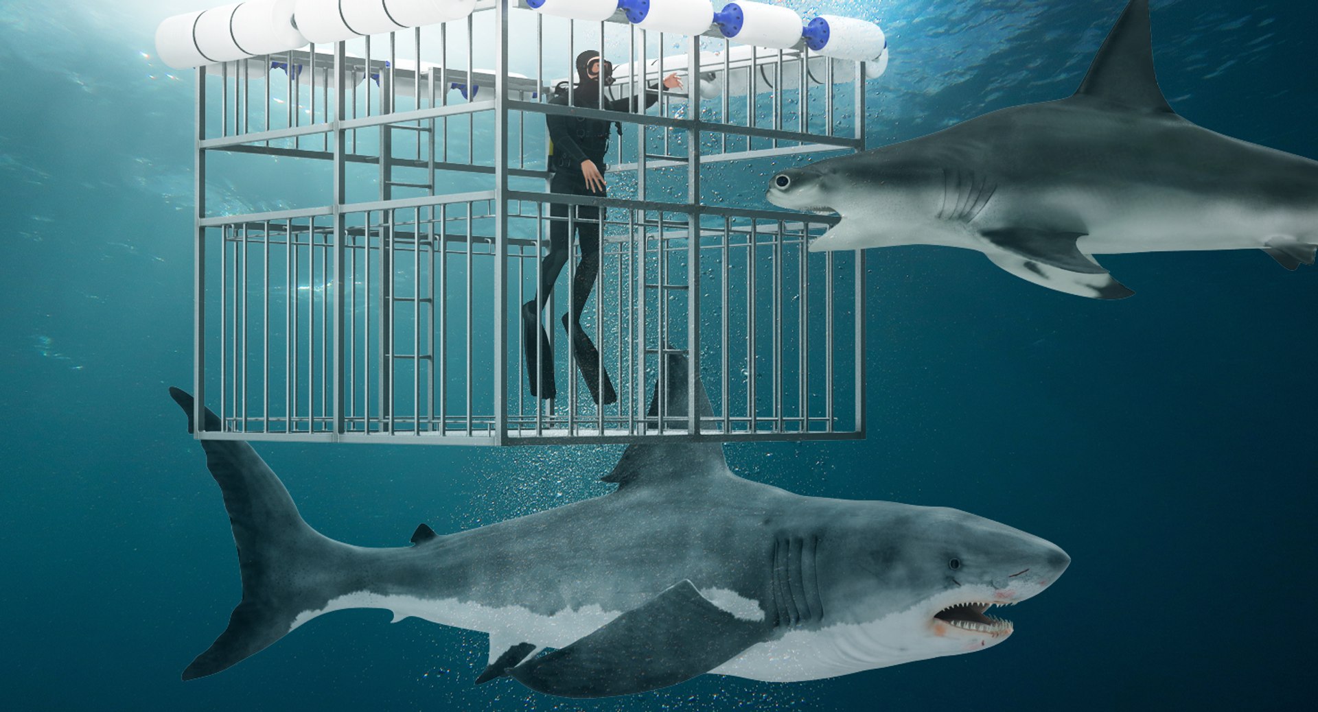 Shark Proof Cage 3D - TurboSquid 1381526