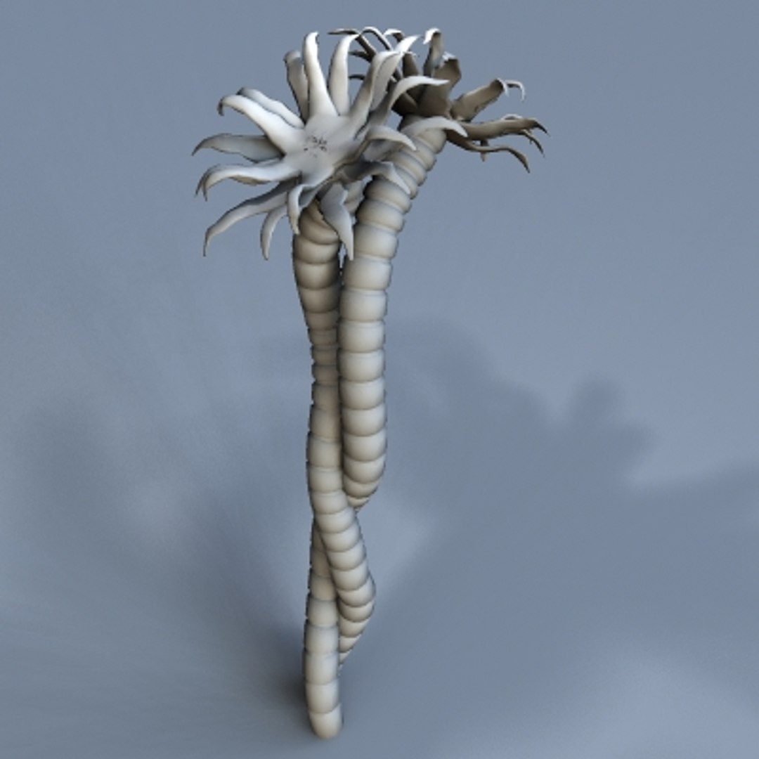 3d Model Alien Plants