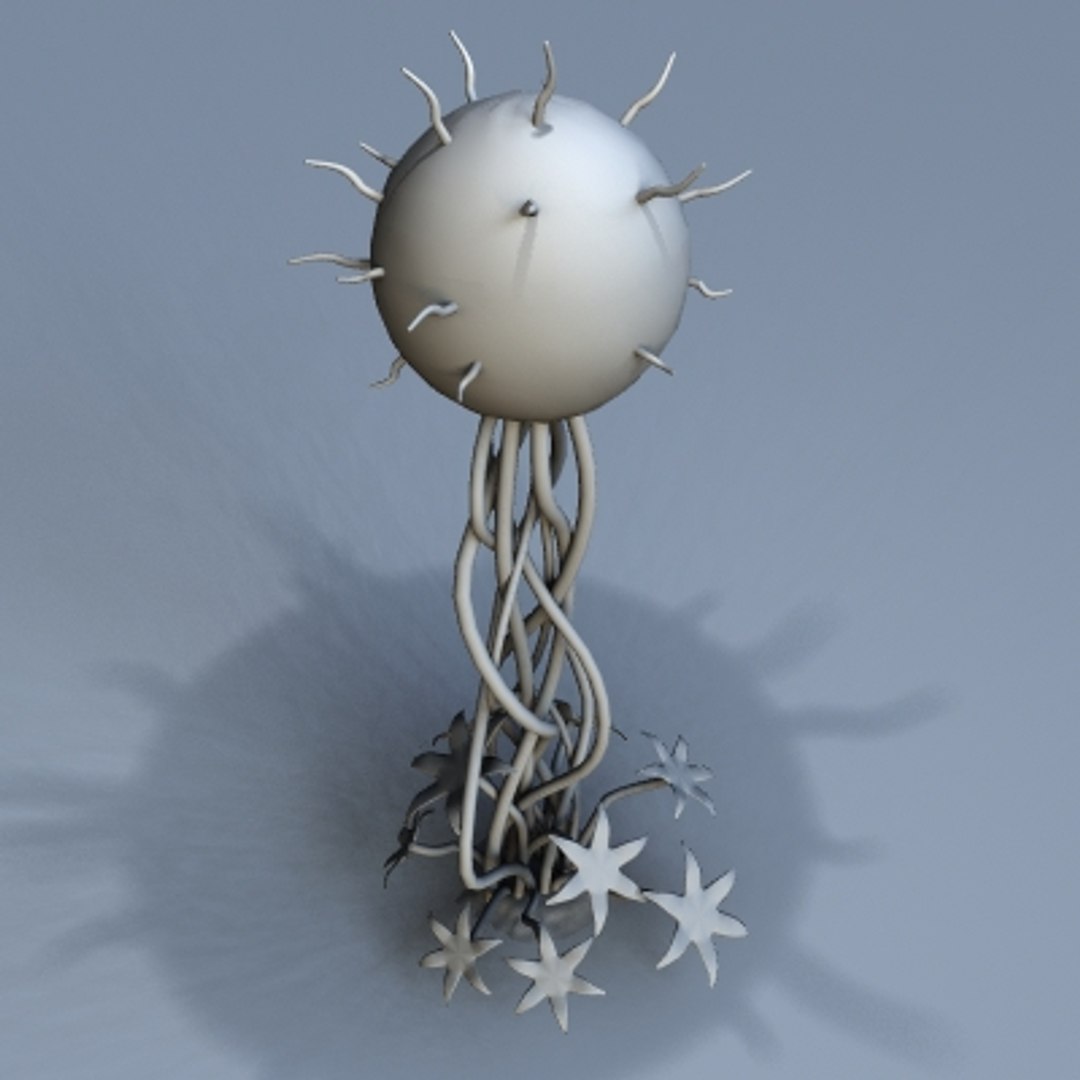 3d Model Alien Plants