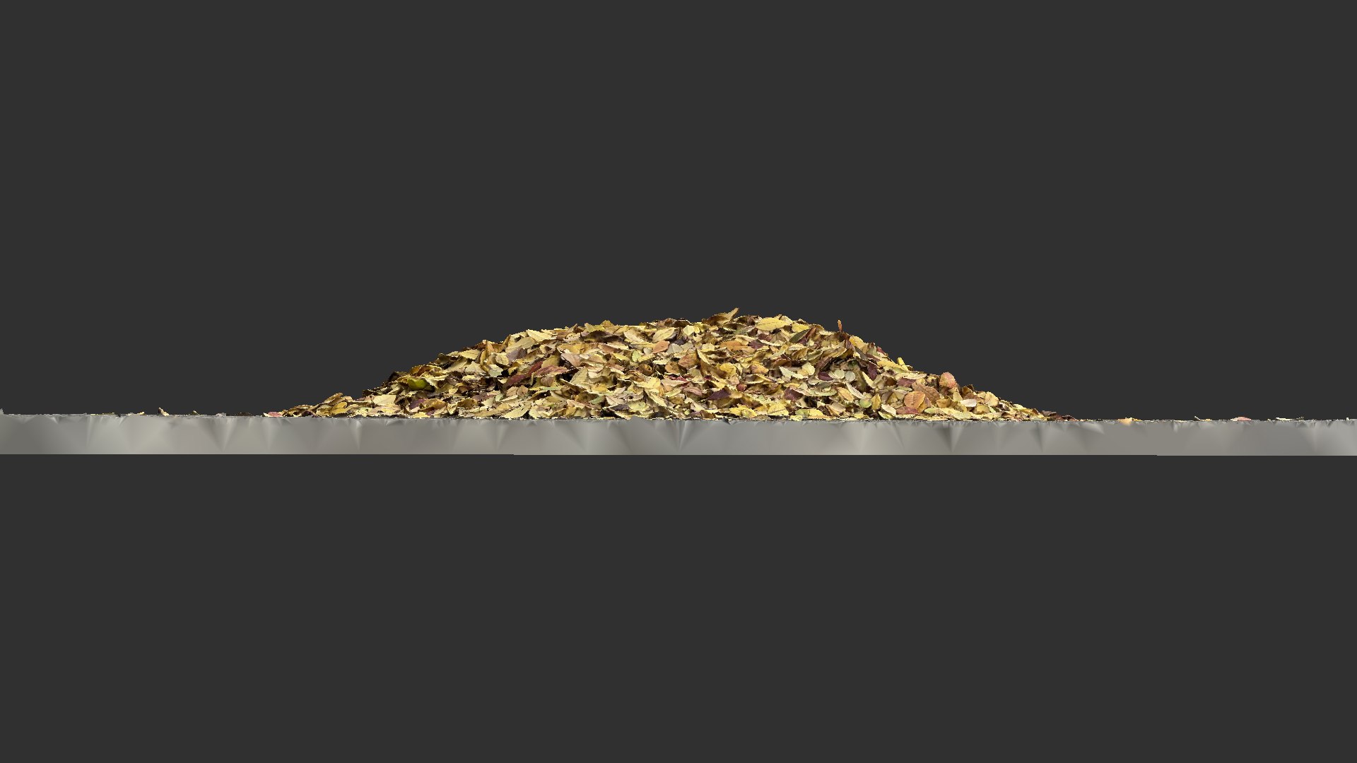 3D Leaves On The Ground 3d Scan - TurboSquid 1992974