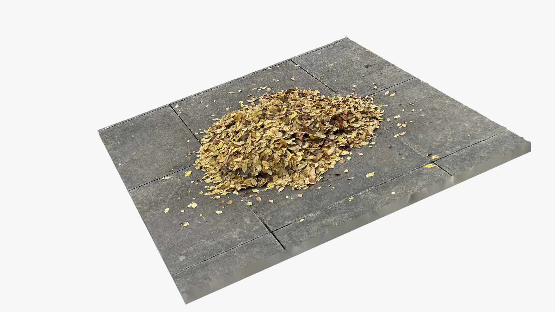 3D Leaves On The Ground 3d Scan - TurboSquid 1992974