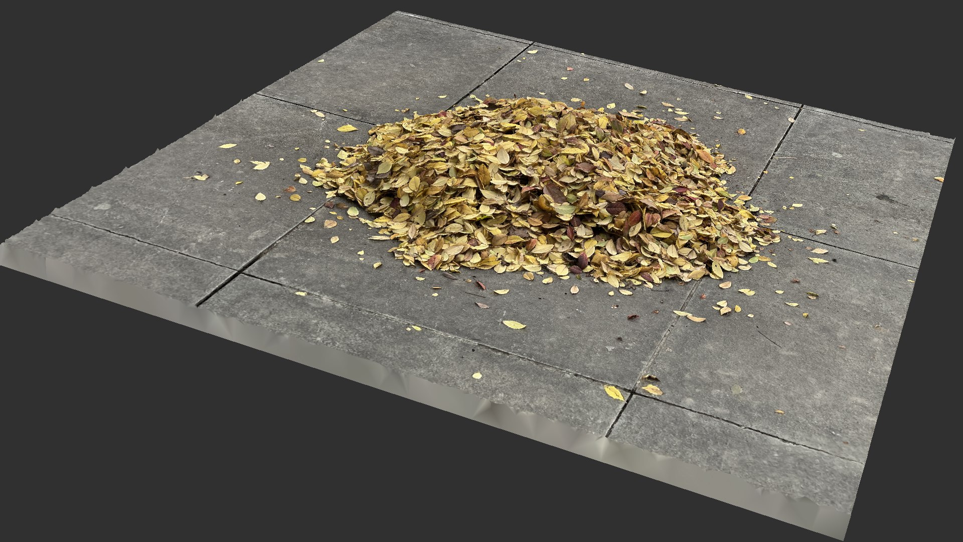 3D Leaves On The Ground 3d Scan - TurboSquid 1992974