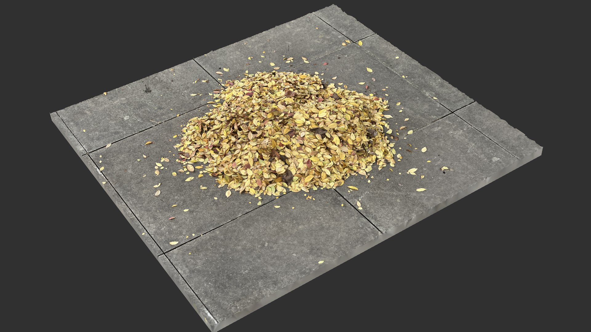 3D Leaves On The Ground 3d Scan - TurboSquid 1992974