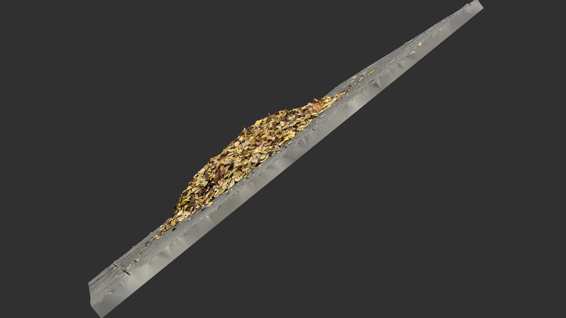3D Leaves On The Ground 3d Scan - TurboSquid 1992974
