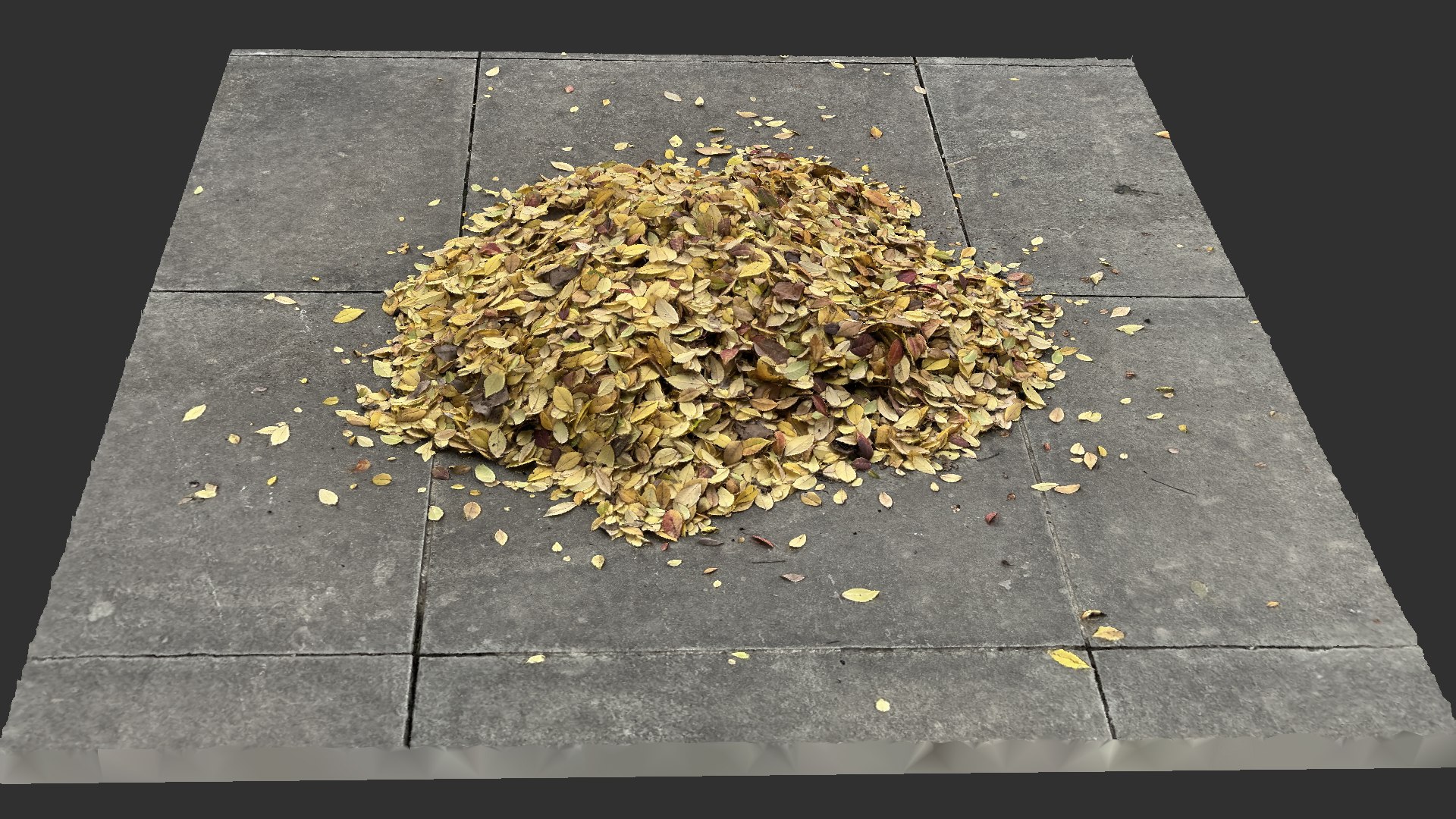 3D Leaves On The Ground 3d Scan - TurboSquid 1992974
