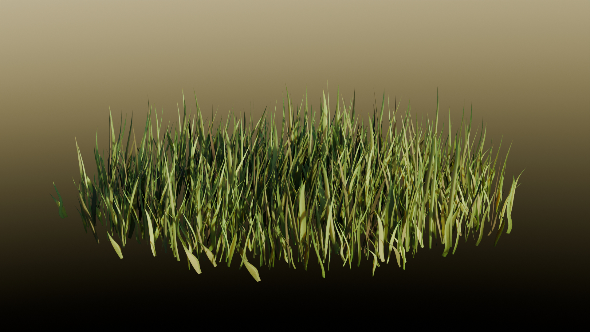3D Grass Procedural Model - TurboSquid 2195124