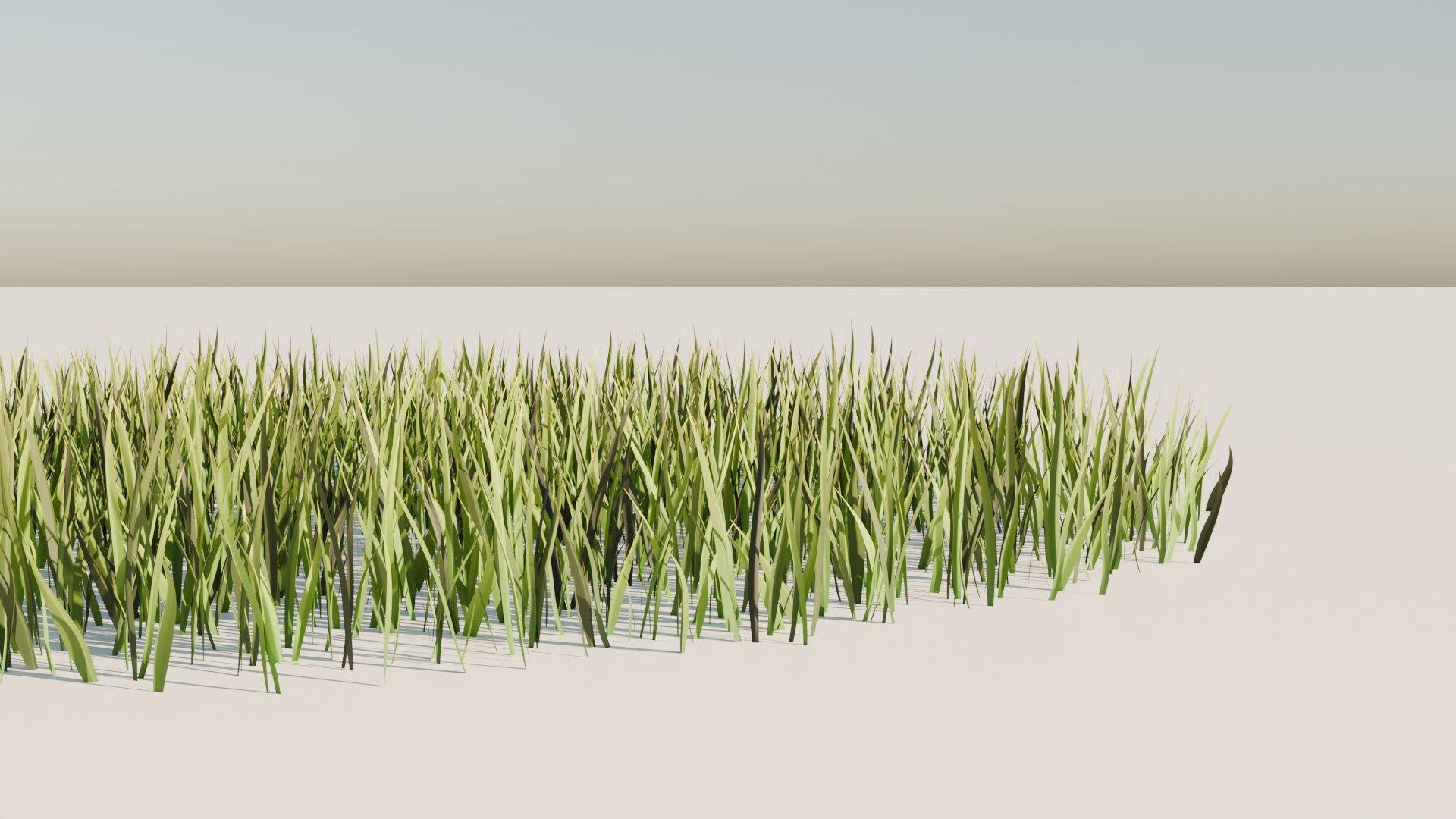 3D Grass Procedural Model - TurboSquid 2195124