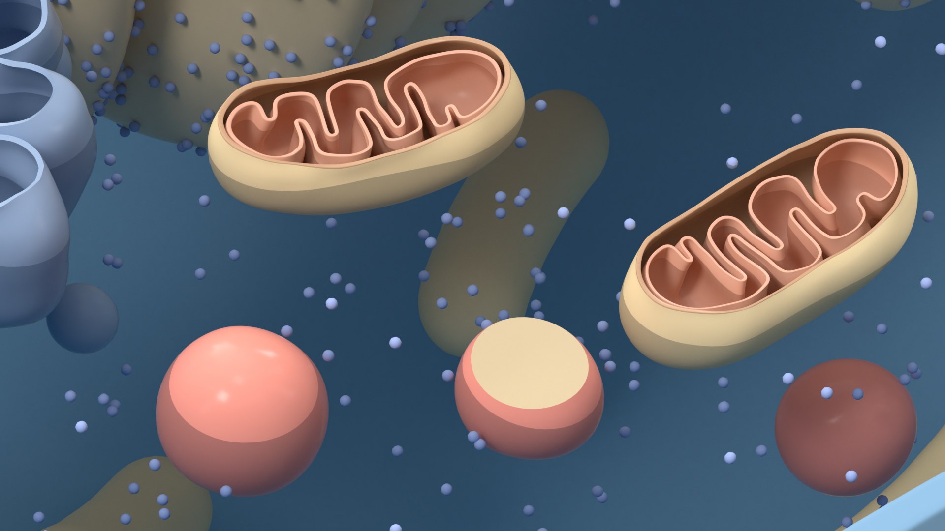 3D Model Cell Structure Section - TurboSquid 2241190