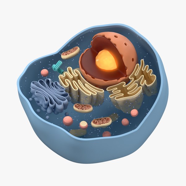 modelo 3d Sección de estructura celular - TurboSquid 2241190