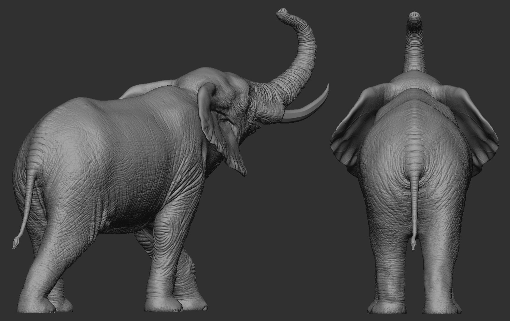 3D Elephant - TurboSquid 2398995