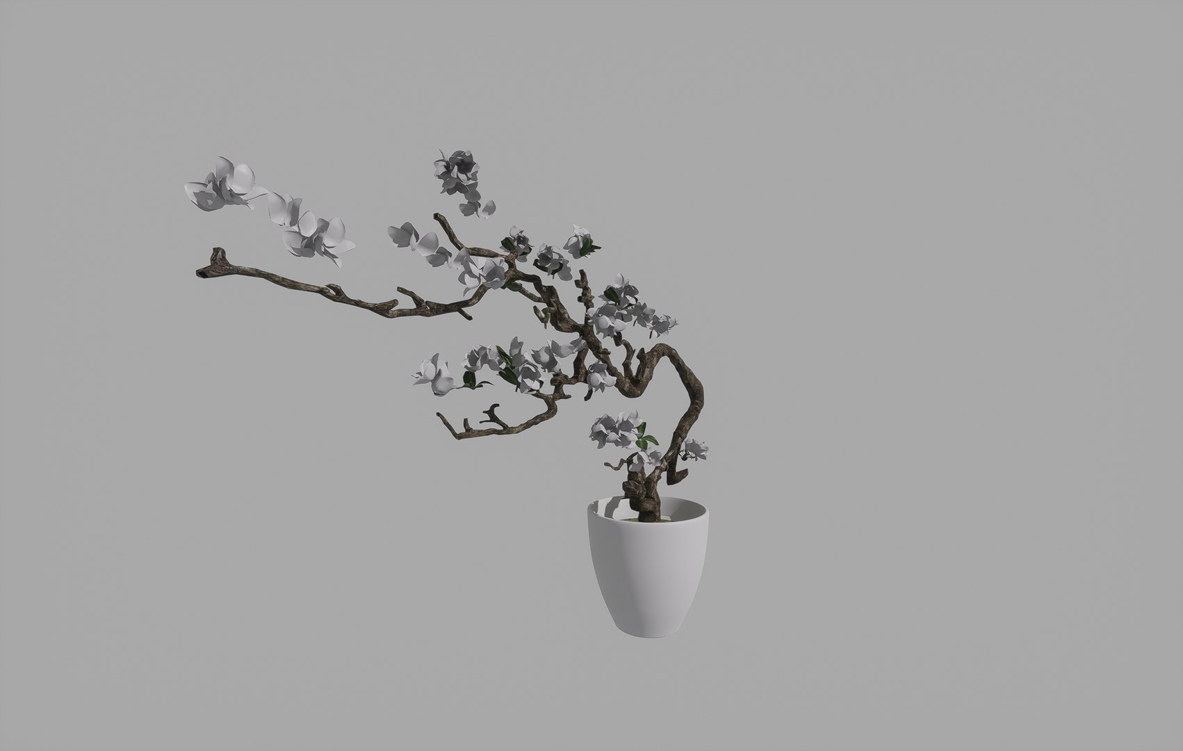 3D Model Zen Bonsai - TurboSquid 2092654