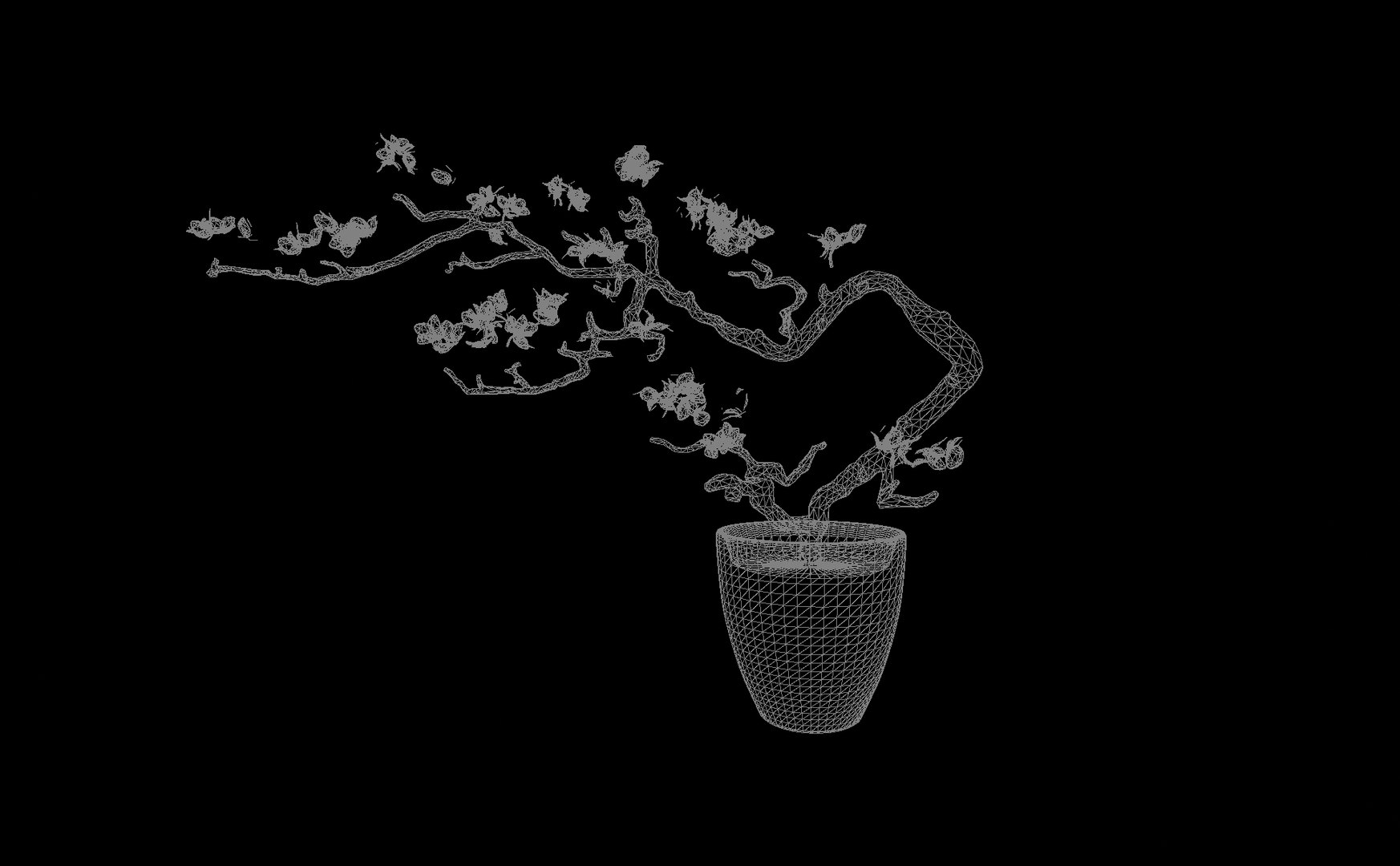 3D Model Zen Bonsai - TurboSquid 2092654
