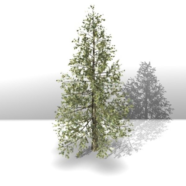 cinema4d tree works