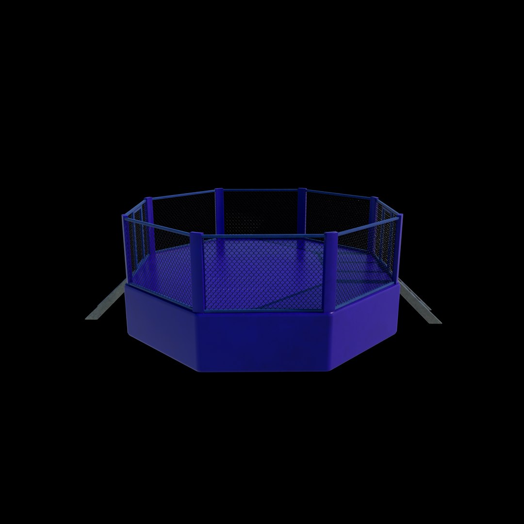 Modern MMA Ring 3D Model 3D Model - TurboSquid 2378079