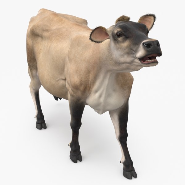 Cow 3D Models for Download | TurboSquid