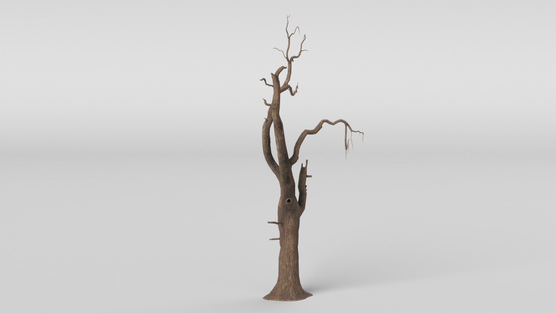 Spooky tree model - TurboSquid 1612904