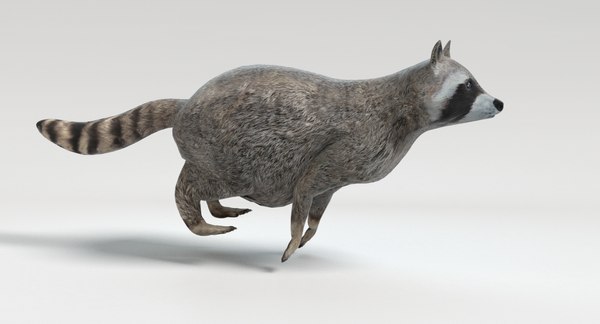 3D animals 1 model - TurboSquid 1197152