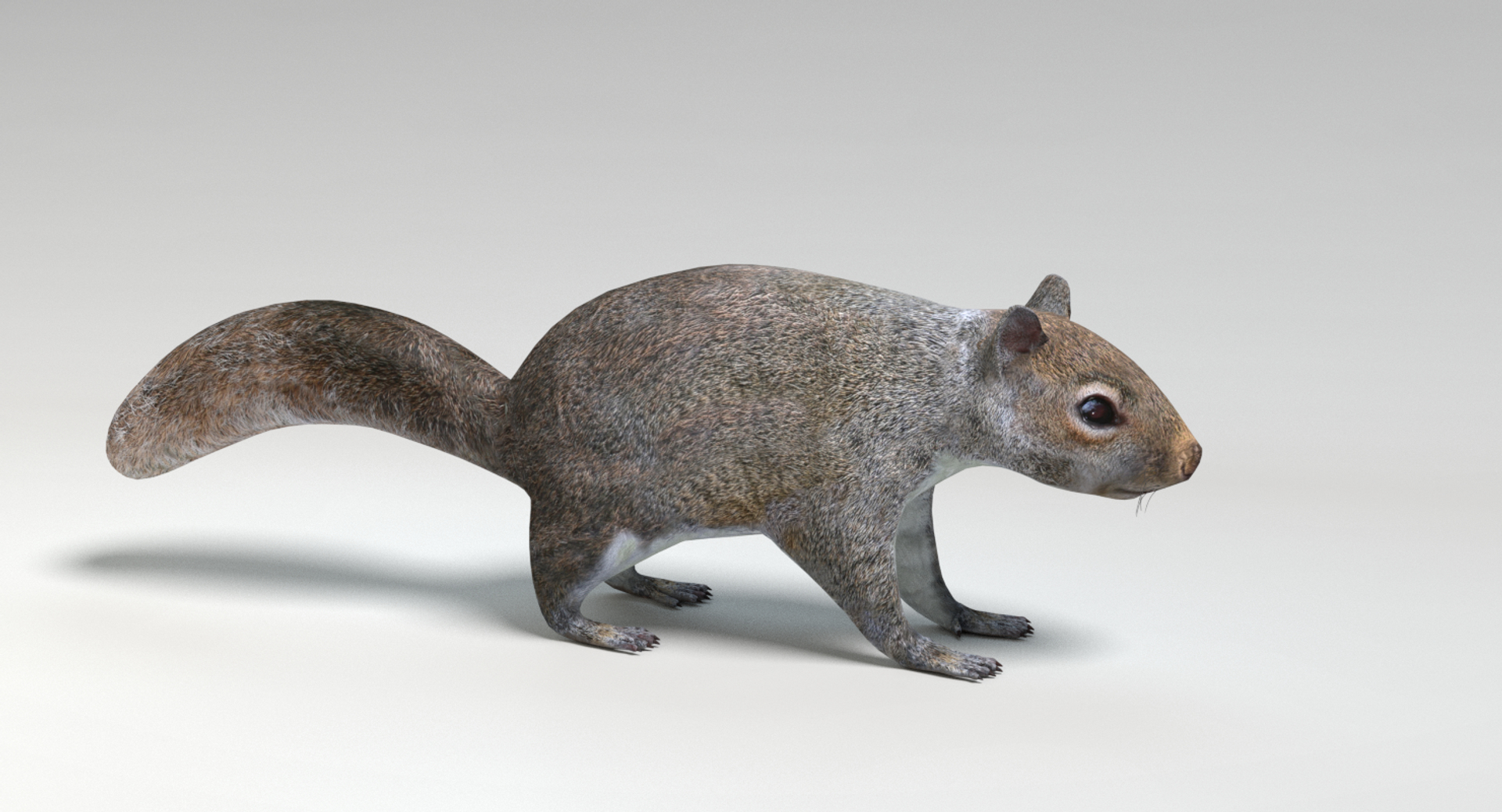 3D Animals 1 Model - TurboSquid 1197152