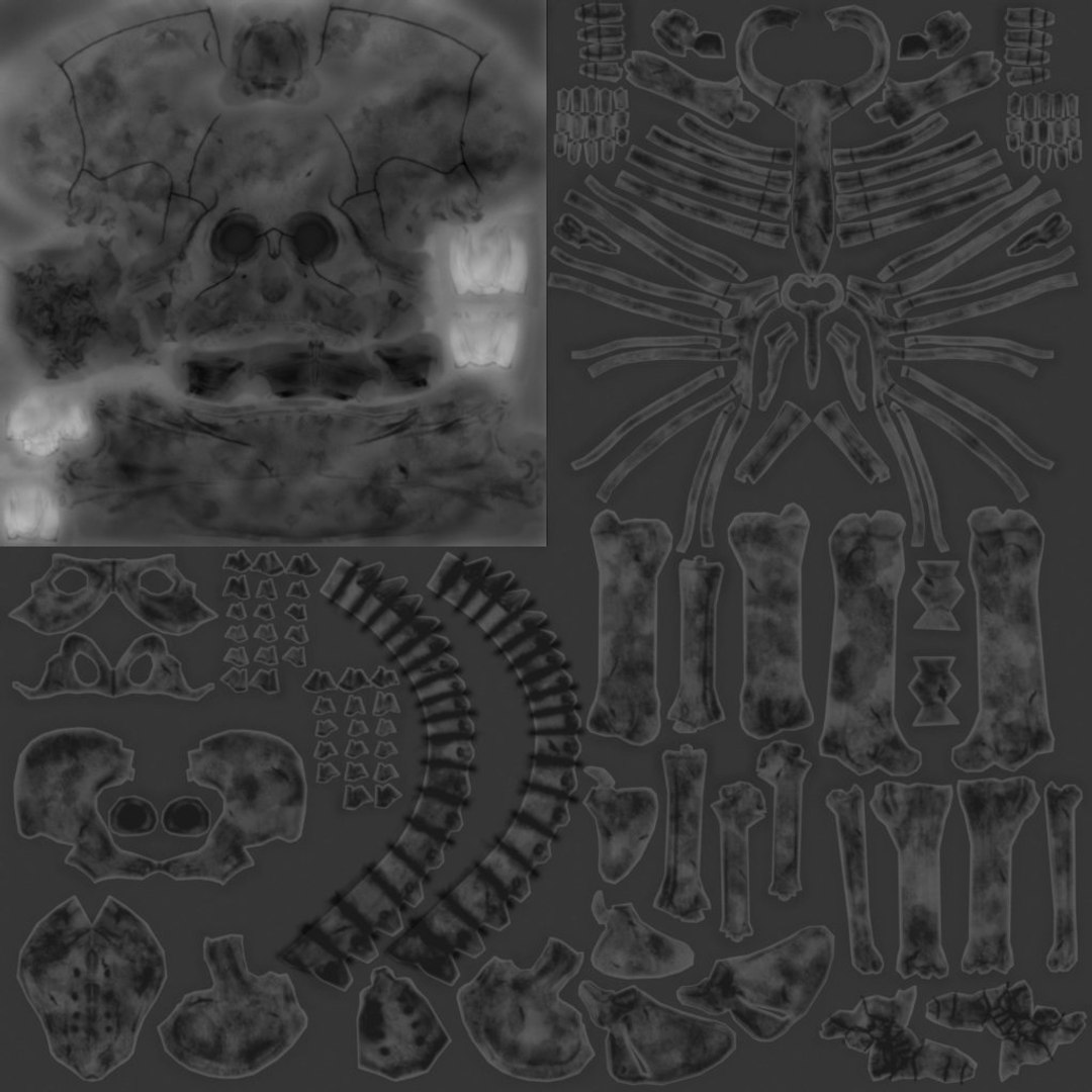 3d nextgen skeletons model