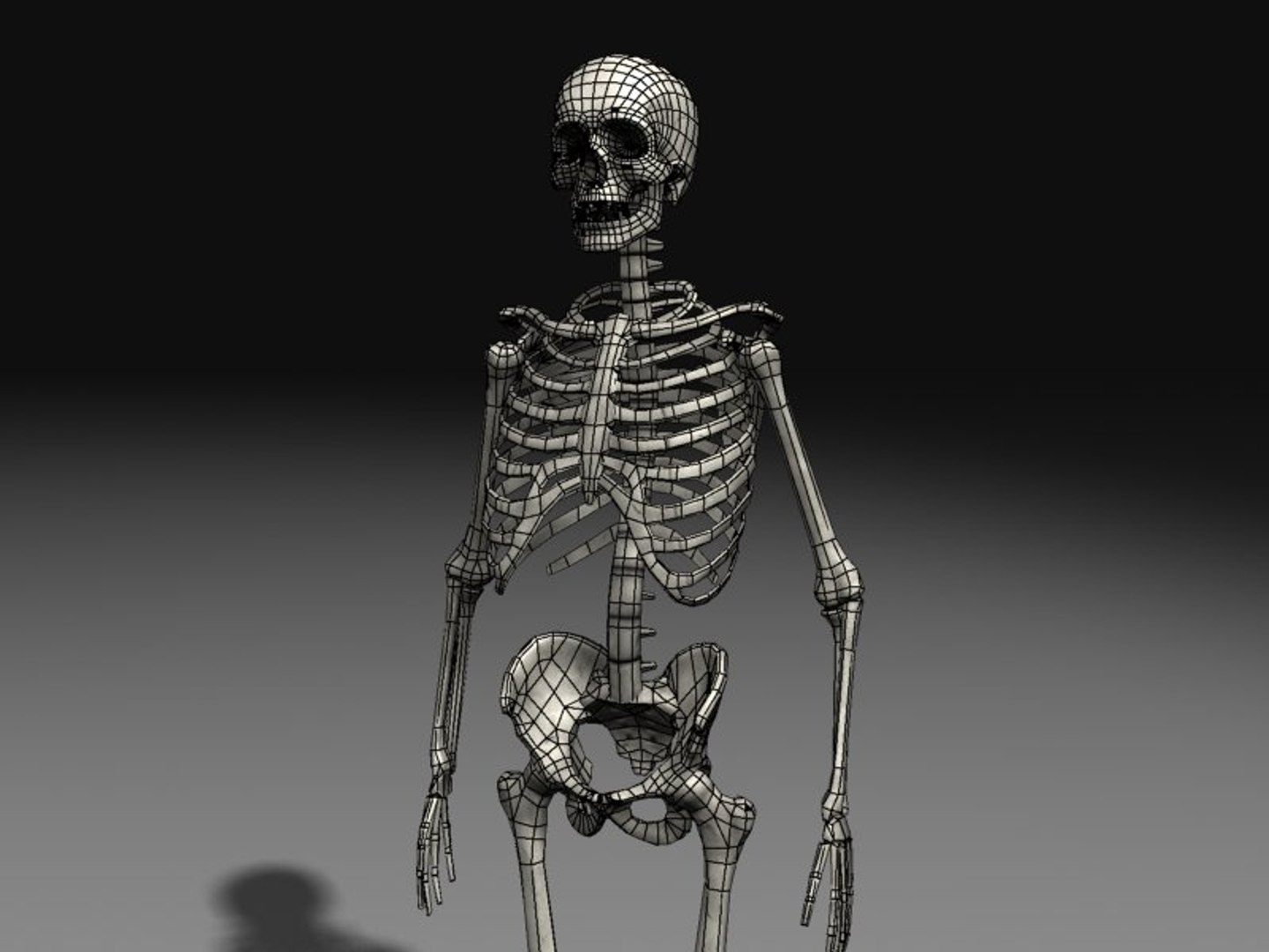 3d Nextgen Skeletons Model