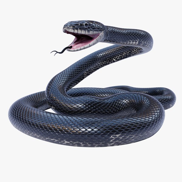 modelo 3d Serpiente de rata negra animada - TurboSquid 1950259