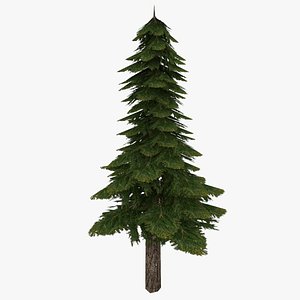 Pine Tree 3D Models for Download | TurboSquid