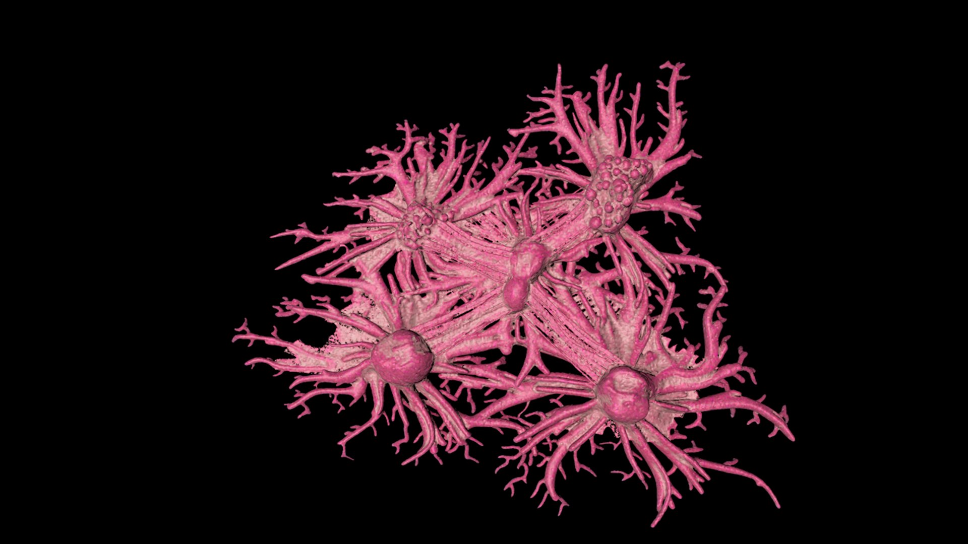 Cancer Cell 3D Model - TurboSquid 1503439