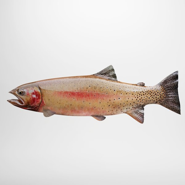 3D Trout Models | TurboSquid