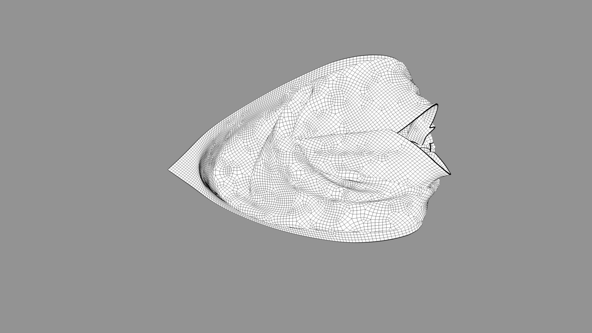 3D Scarf 3D Model A - TurboSquid 1973887