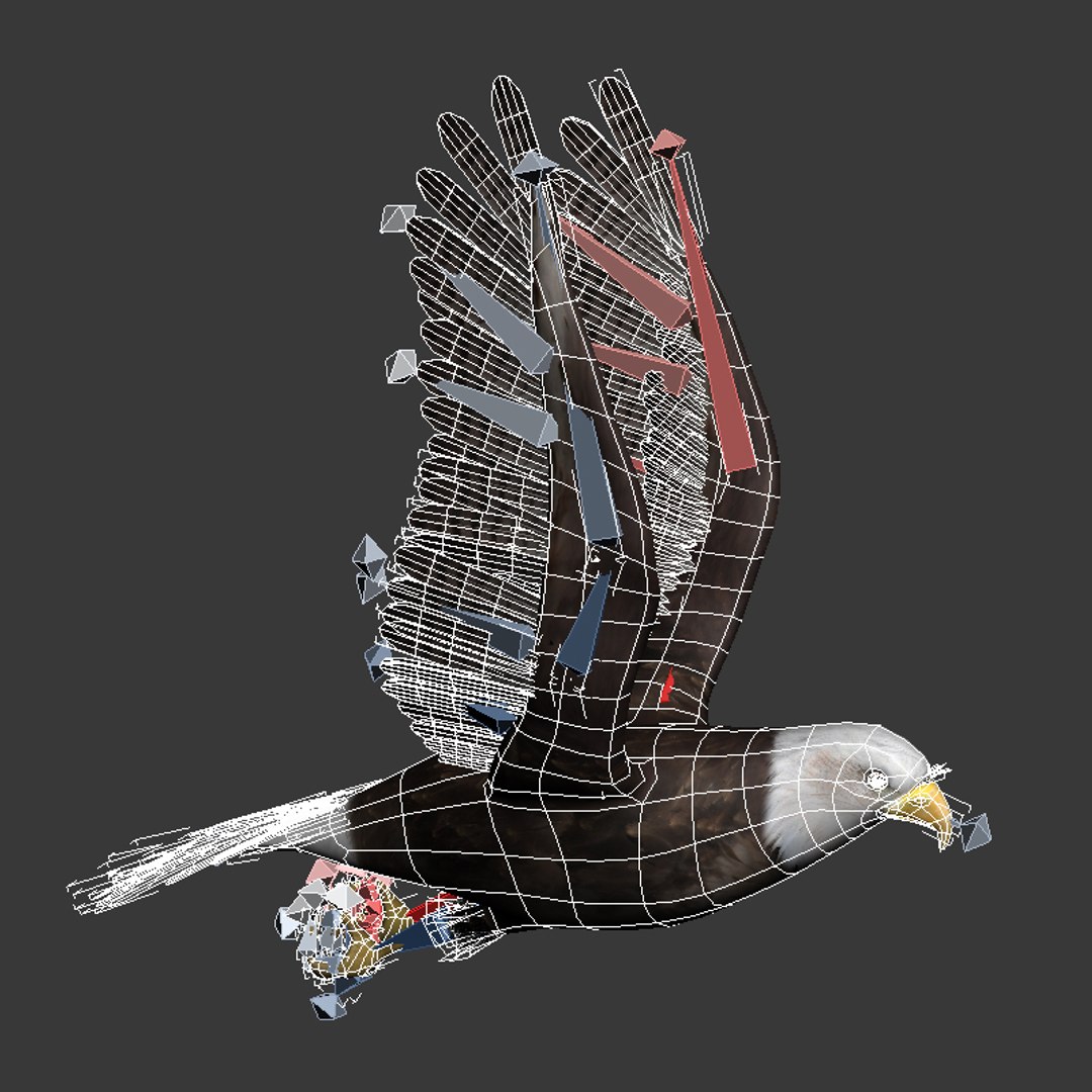 Eagle Flight Flying Animation 3d Model