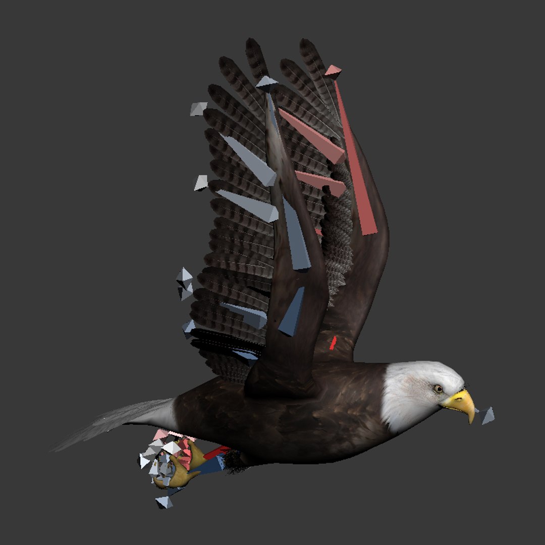 Eagle Flight Flying Animation 3d Model