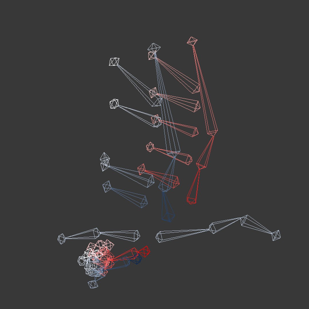 Eagle Flight Flying Animation 3d Model