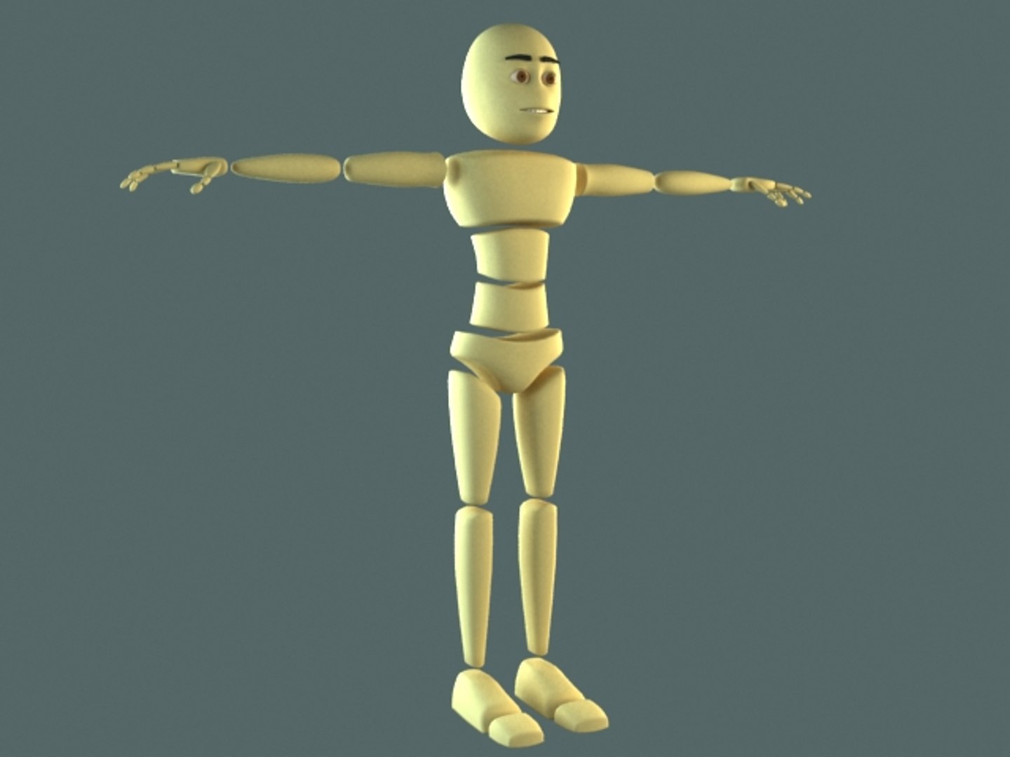 Rig Body 3d Model