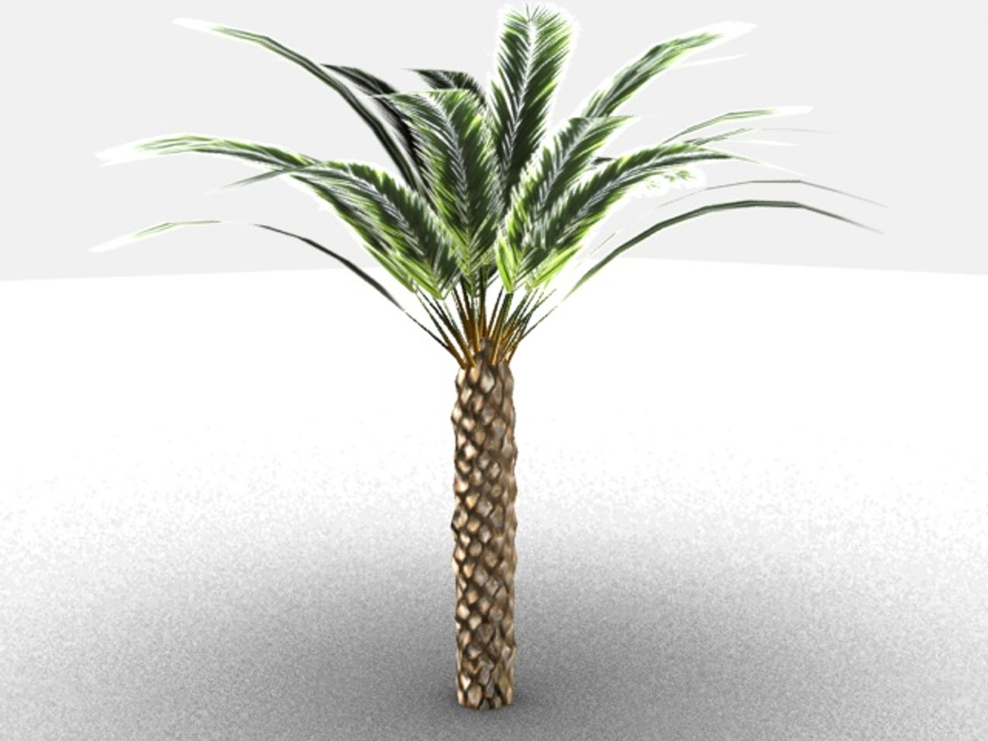 3D palm tree - TurboSquid 1321200