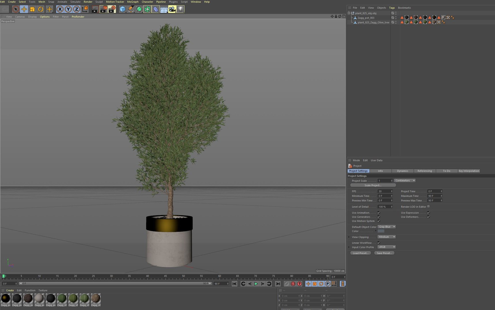 Plants Collection 825 3D Model - TurboSquid 1963750