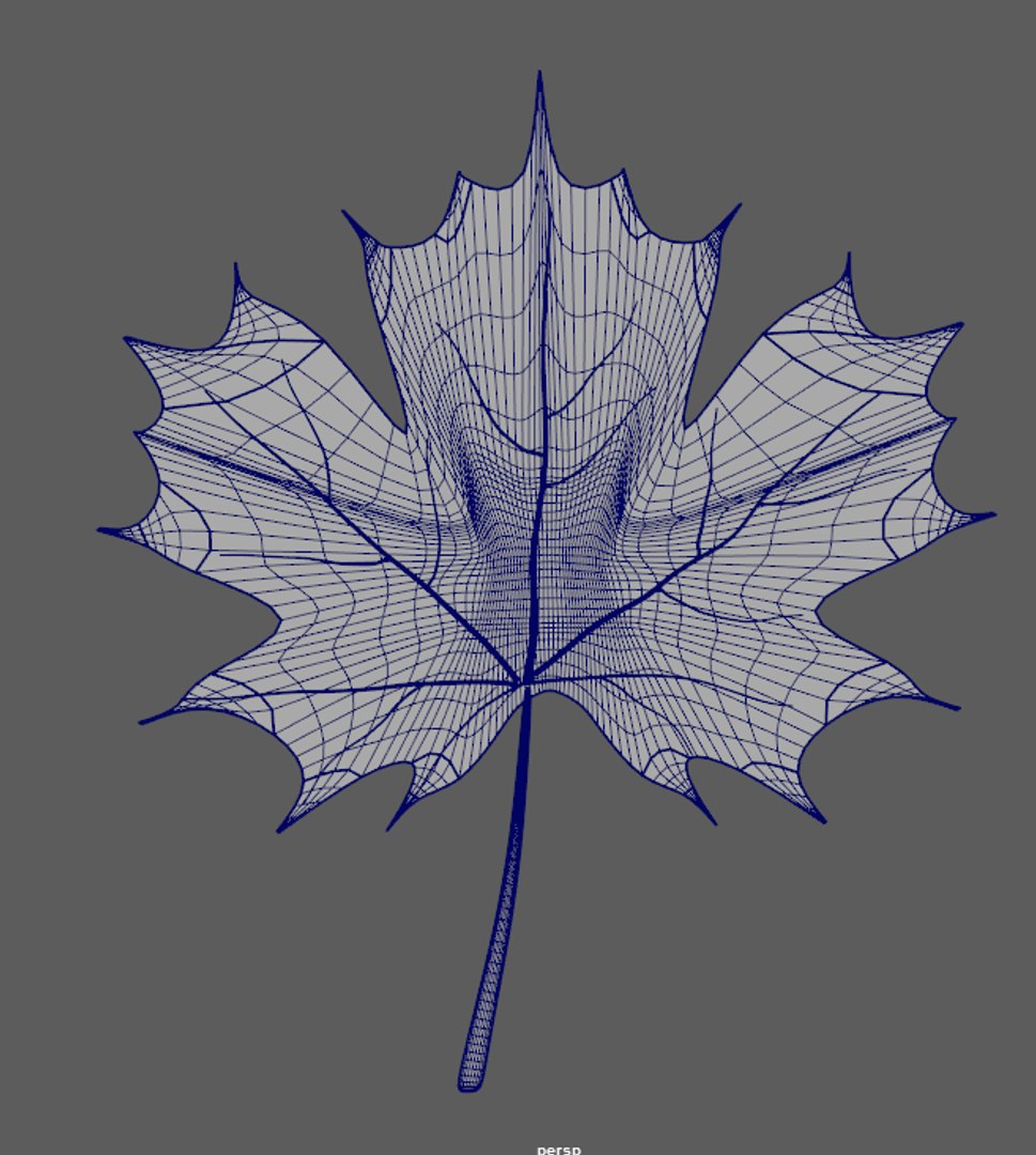 Maple Leaf 3D - TurboSquid 1266052