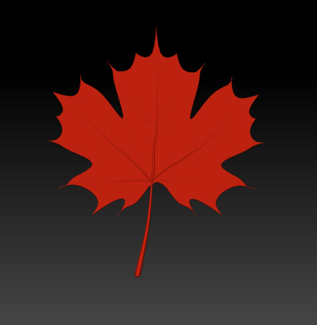 Maple Leaf 3D - TurboSquid 1266052