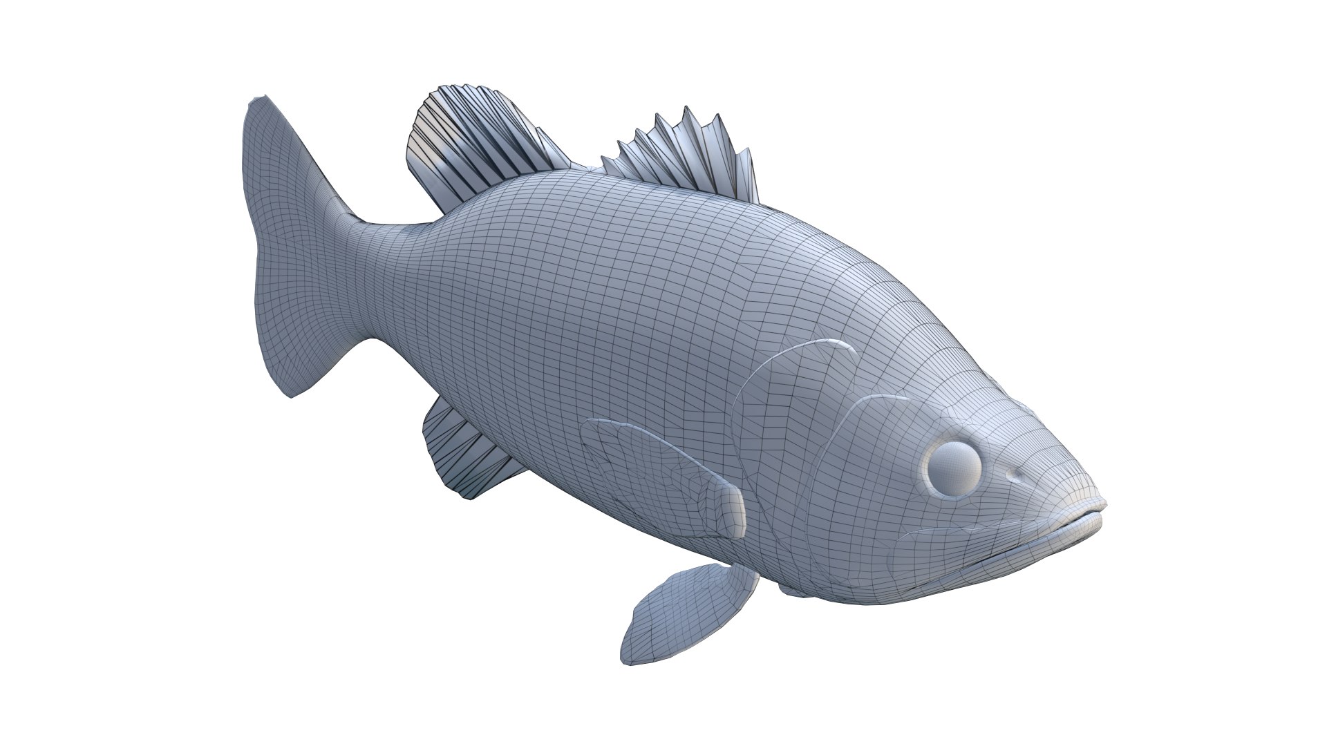 Largemouth Bass Fish 3D Model Model - TurboSquid 2313616