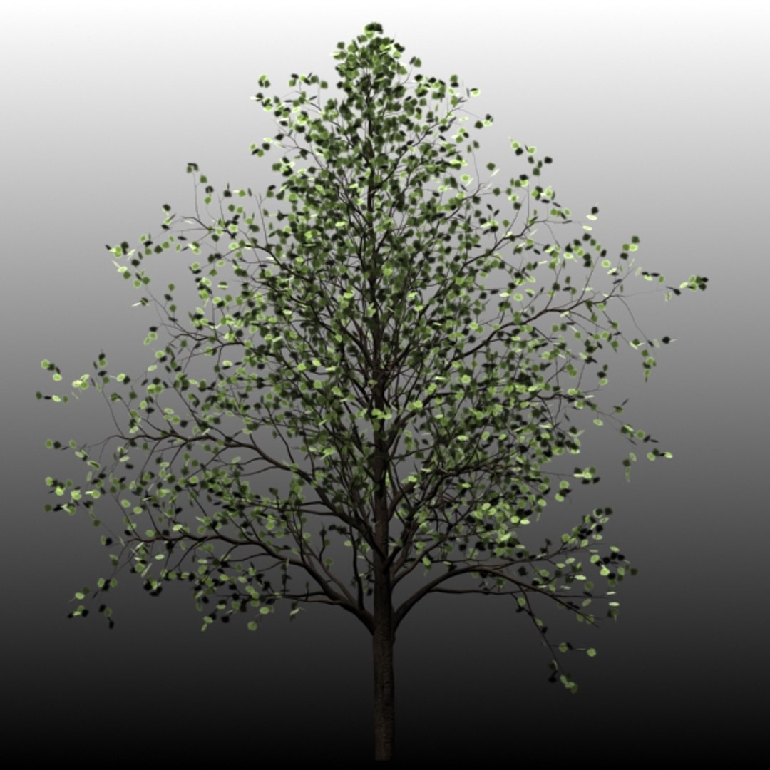 3ds max oak trees