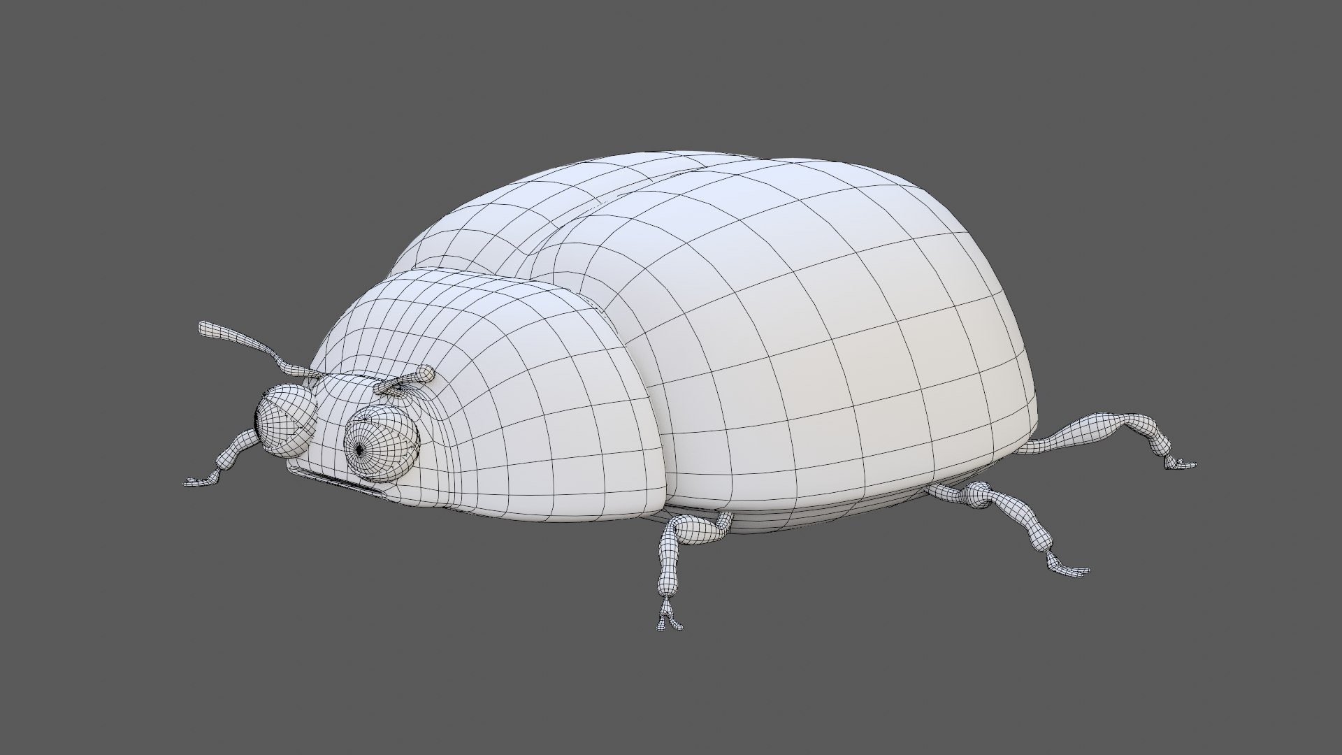 Cartoon Ladybug 3D - TurboSquid 2014146