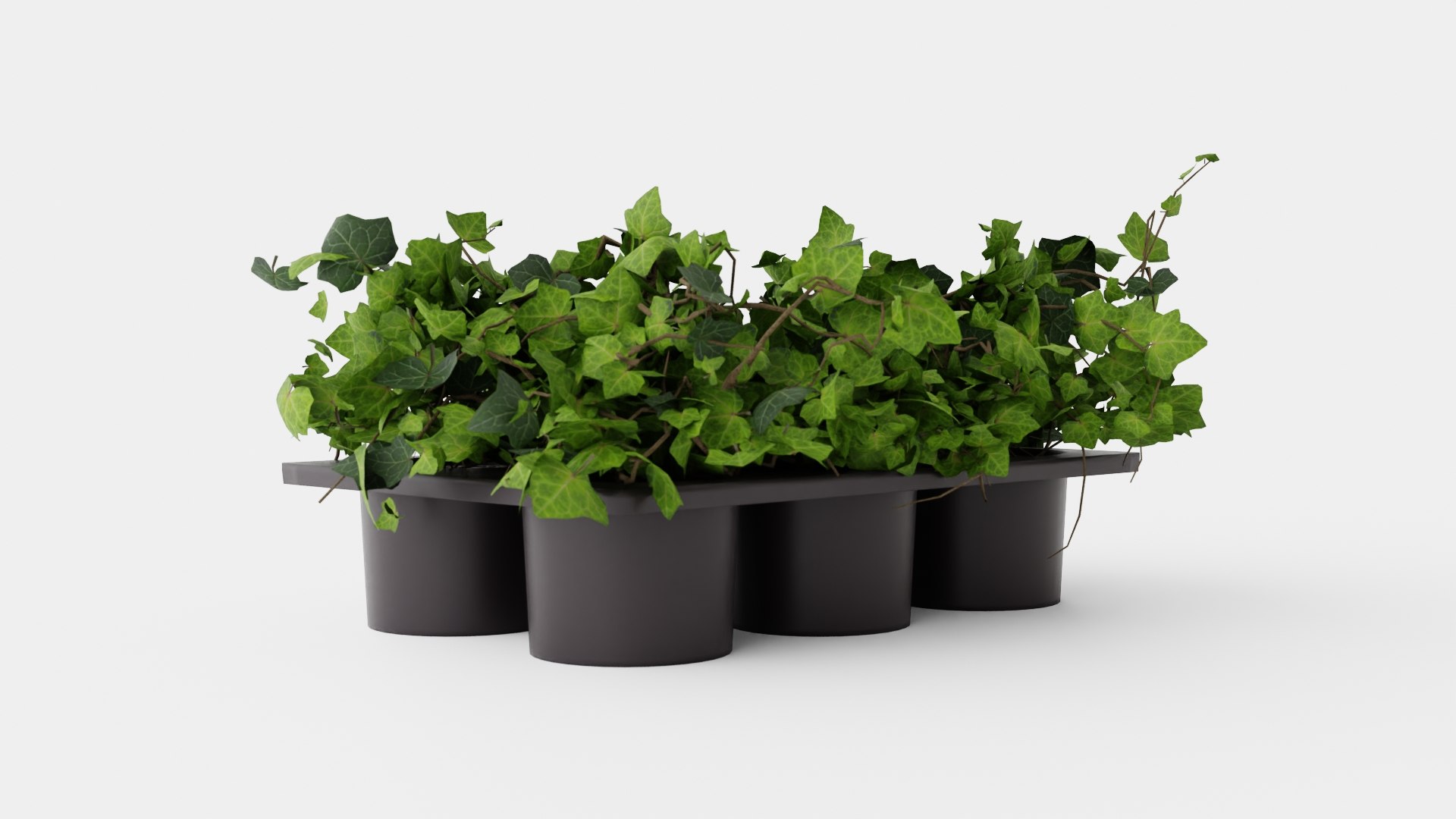 Collection Of Houseplants - 5 Models 3D - TurboSquid 2261739