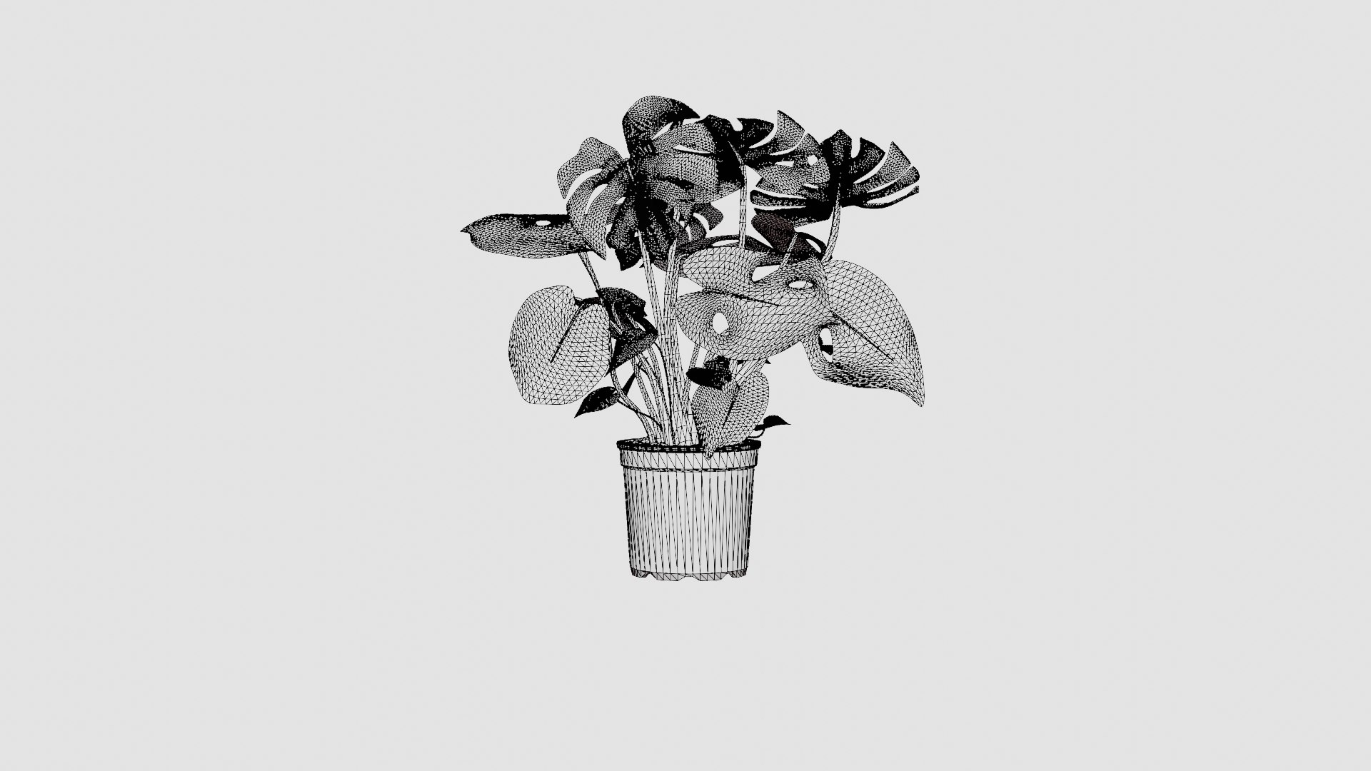 Collection Of Houseplants - 5 Models 3D - TurboSquid 2261739
