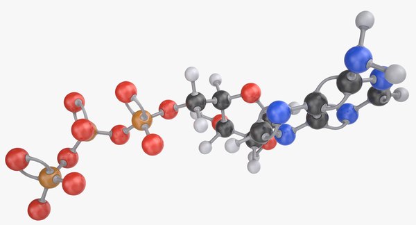 3D adenosine triphosphate molecule - TurboSquid 1163235