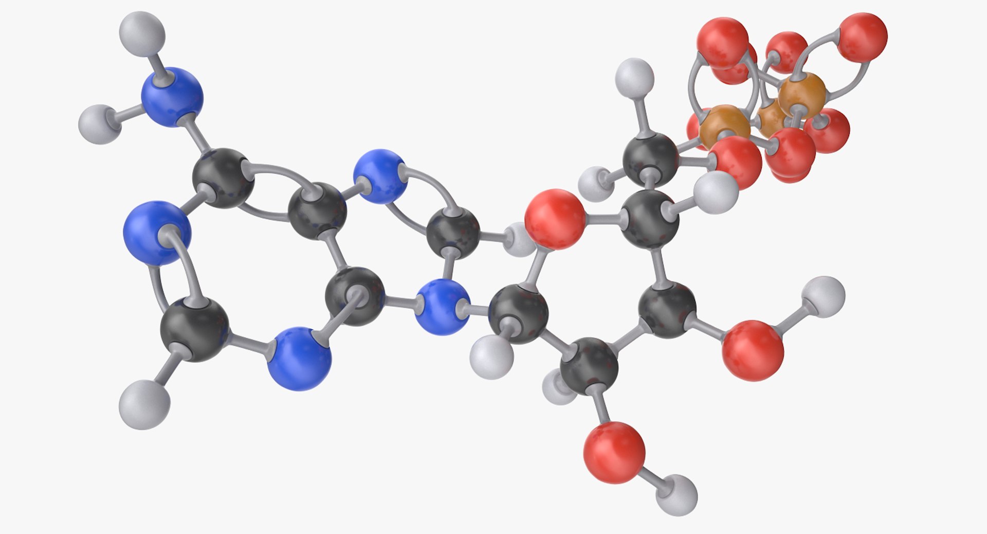 3D Adenosine Triphosphate Molecule - TurboSquid 1163235