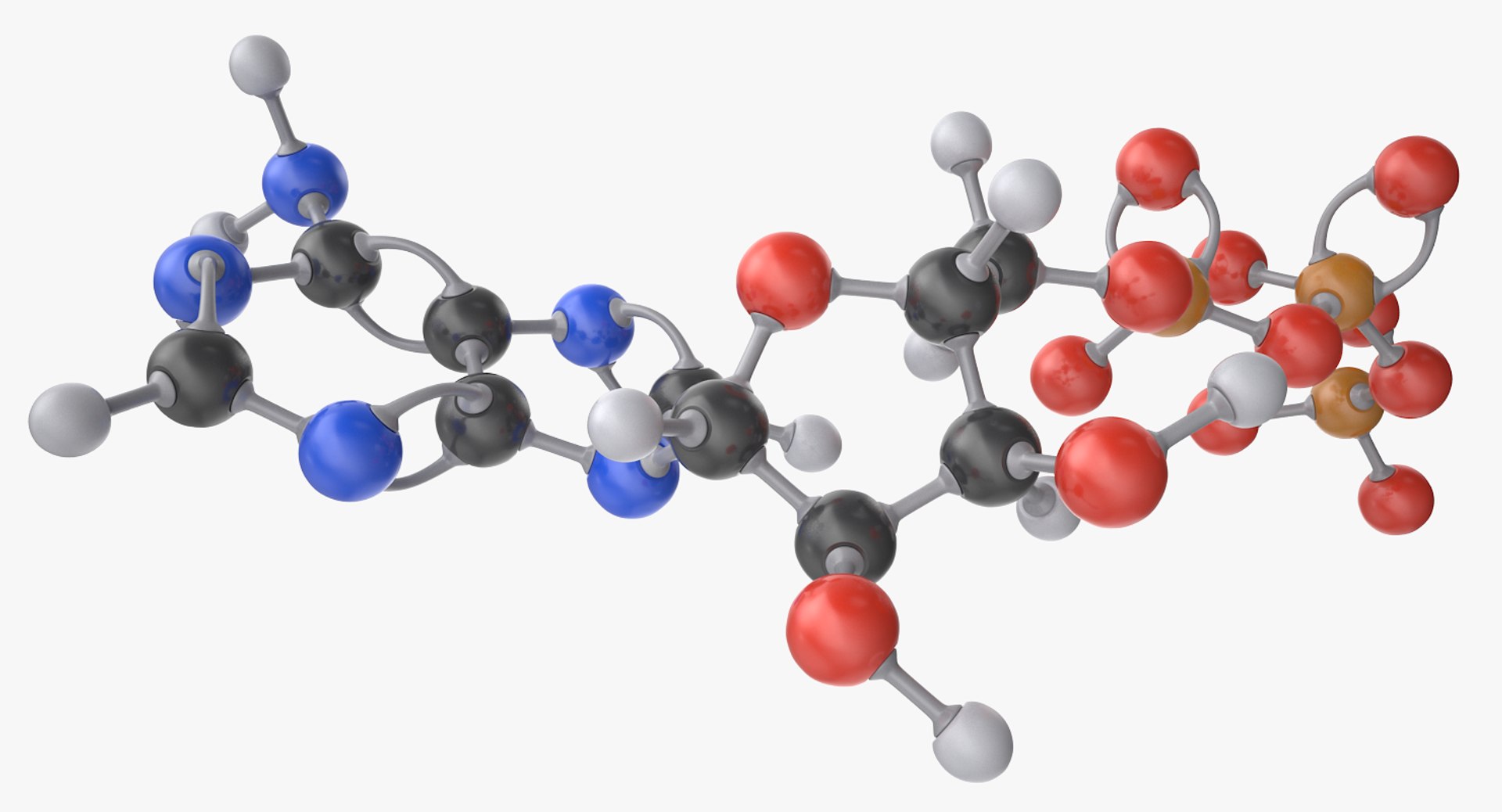 3D Adenosine Triphosphate Molecule - TurboSquid 1163235