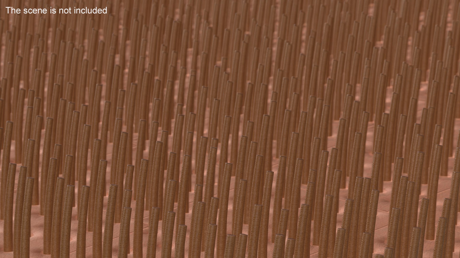 Brown Hair Under The Microscope 3D Model - TurboSquid 2228866