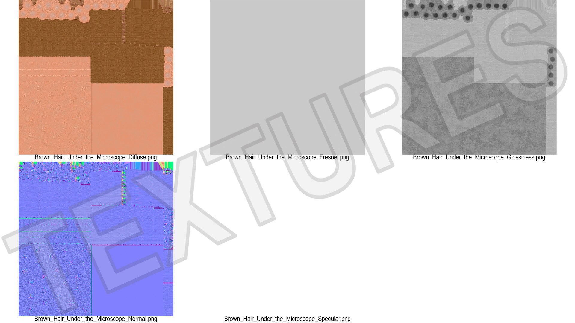 Brown Hair Under The Microscope 3D Model - TurboSquid 2228866
