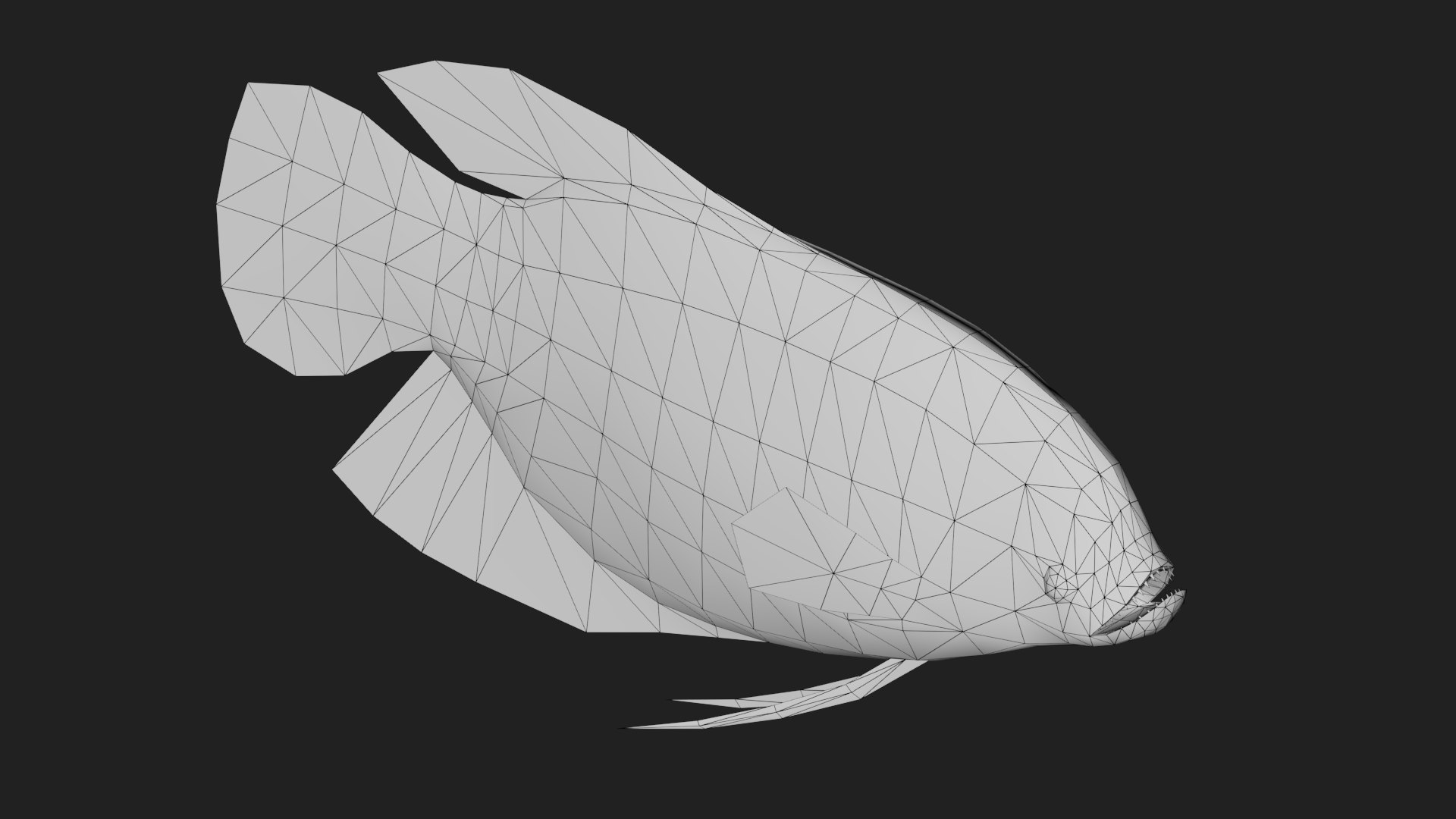 Bass Fish 3D Model - TurboSquid 2123256