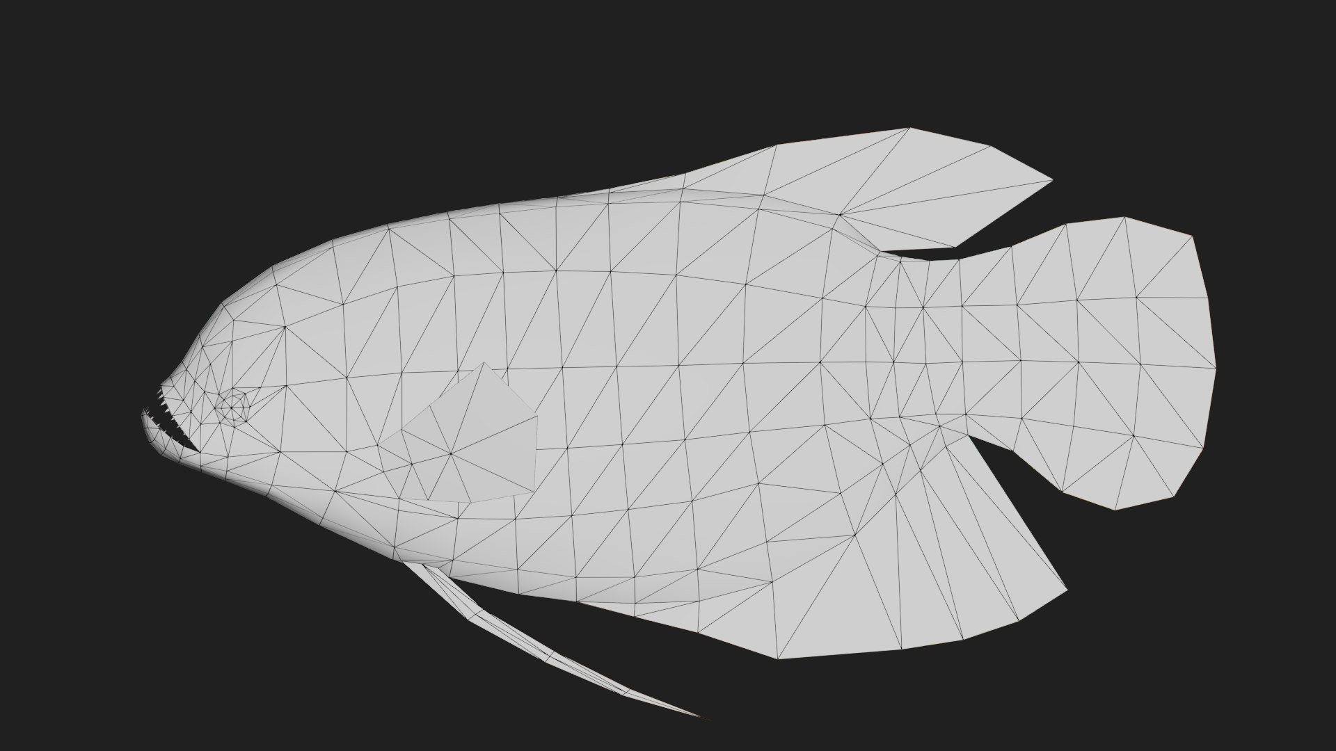 Bass Fish 3D Model - TurboSquid 2123256