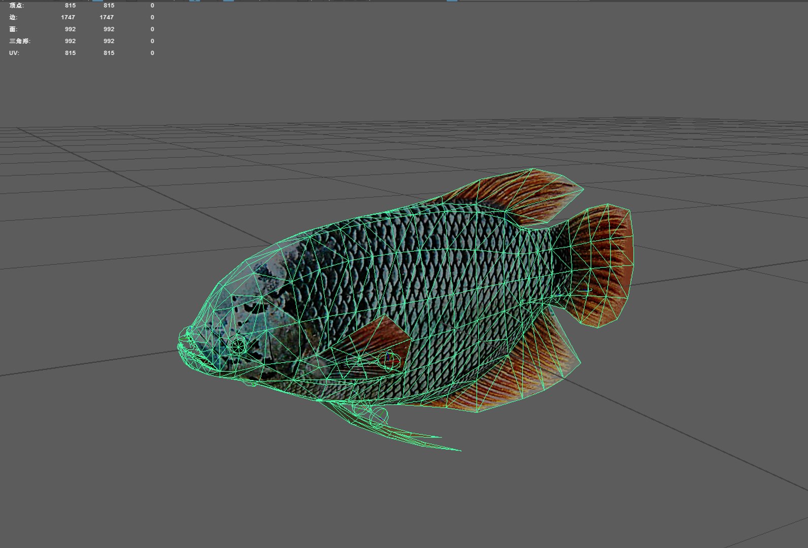Bass Fish 3D Model - TurboSquid 2123256